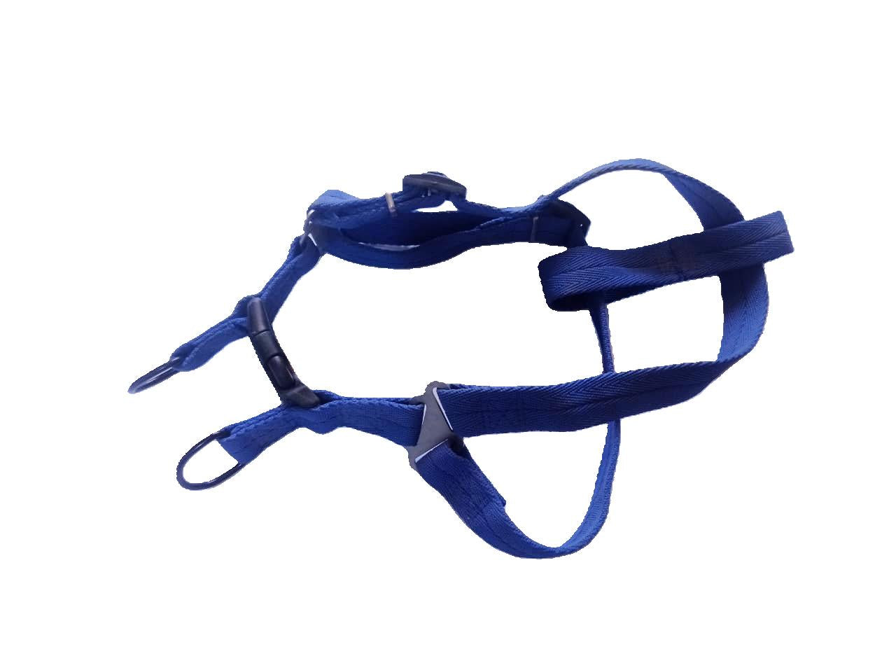 DOUBLE RING HARNESS BLUE-LARGE – Happet