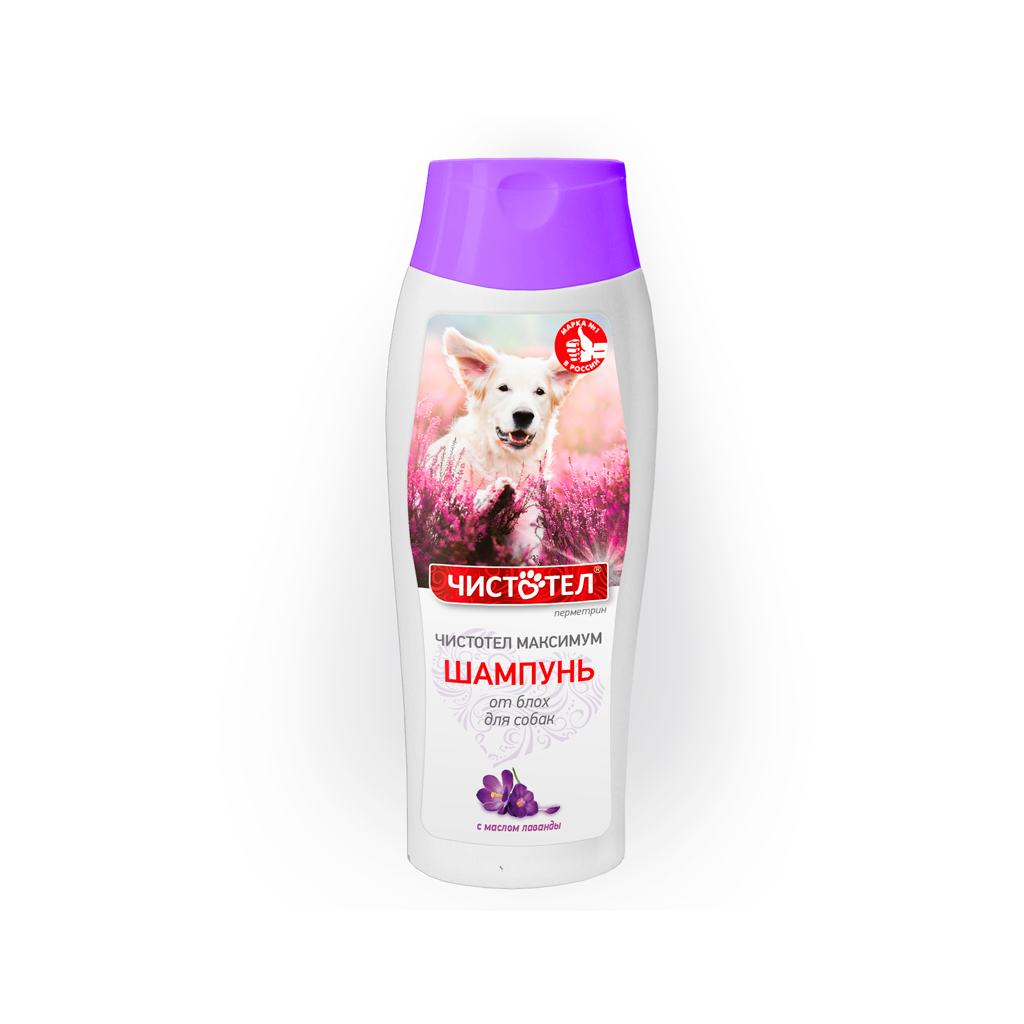 CHISTOTEL Maximum Shampoo with Lavender oil for Dogs 250 ml – Happet